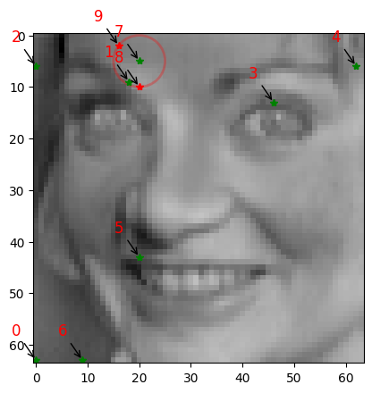 Functional Constraints for Olivetti Faces — pysensors 0.3.6.dev187 ...